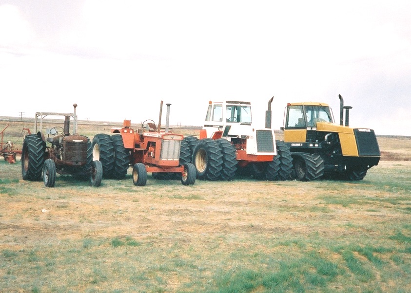 Caterpillar Pictures